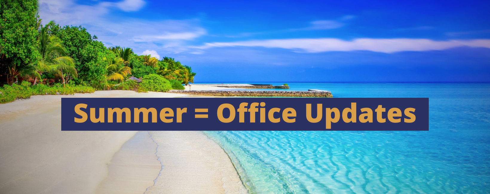 Blog | Rapids Reproductions